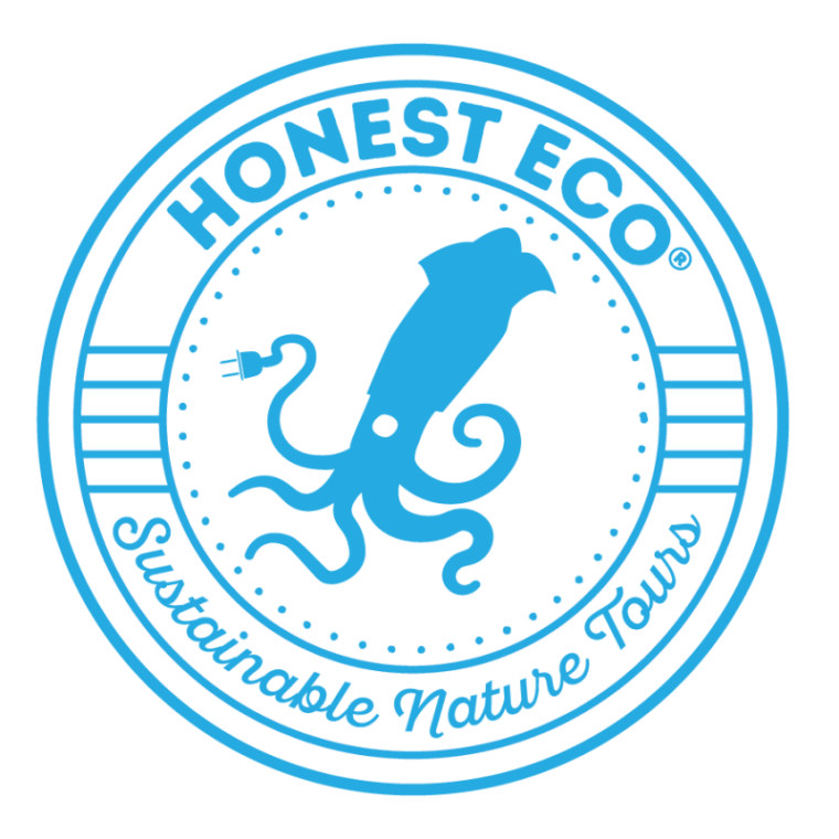Contact Us | Honest Eco