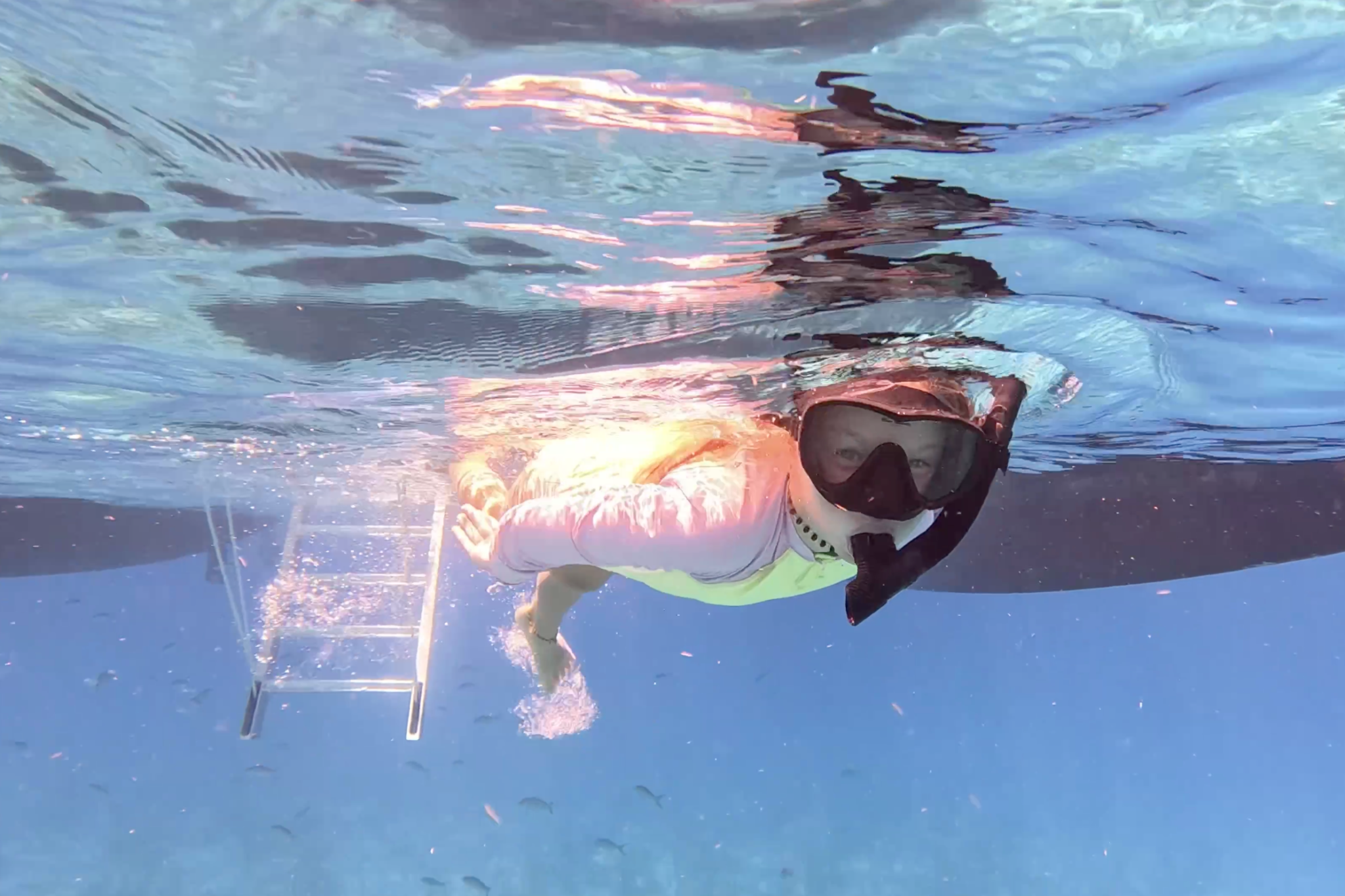 Key West Reef Snorkeling | Best Snorkeling Tours in Key West