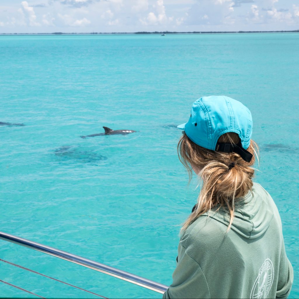 Dolphin Tours: The Original Key West Dolphin Watch, Since 1986!