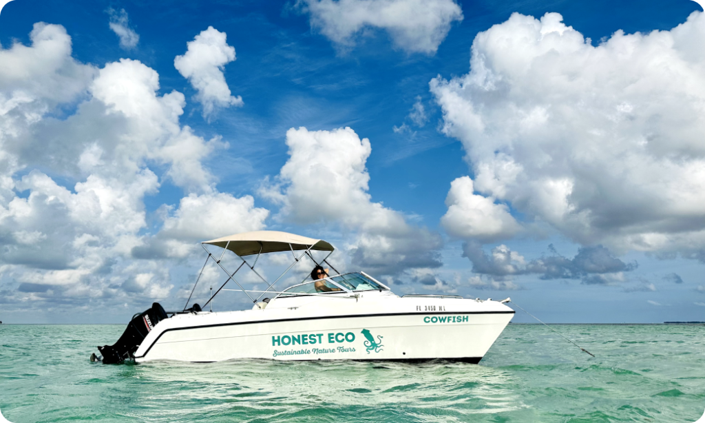 Sandbar Tours: Sandbar Charters and Trips in Key West