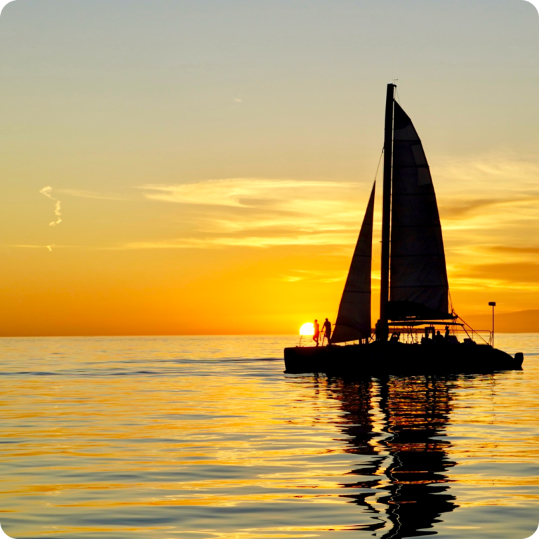 Sunset Dolphin Cruise in Key West: Small Group Sunset Dolphin Watch Cruise