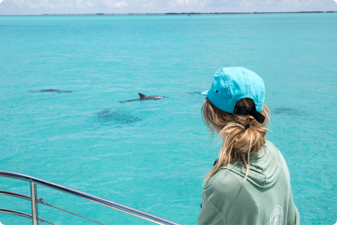 Understanding Dolphin Behavior and Their Personality Traits