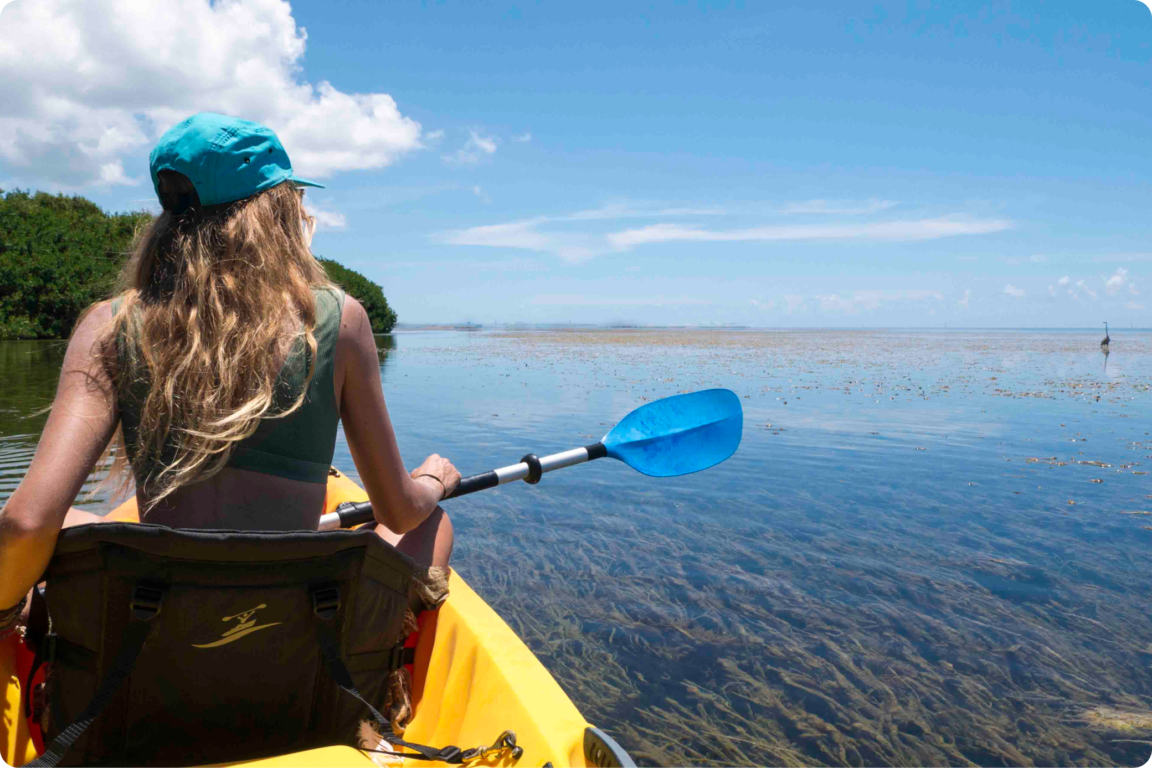 Key West Eco Tours: Key West Boat Tours by Honest Eco