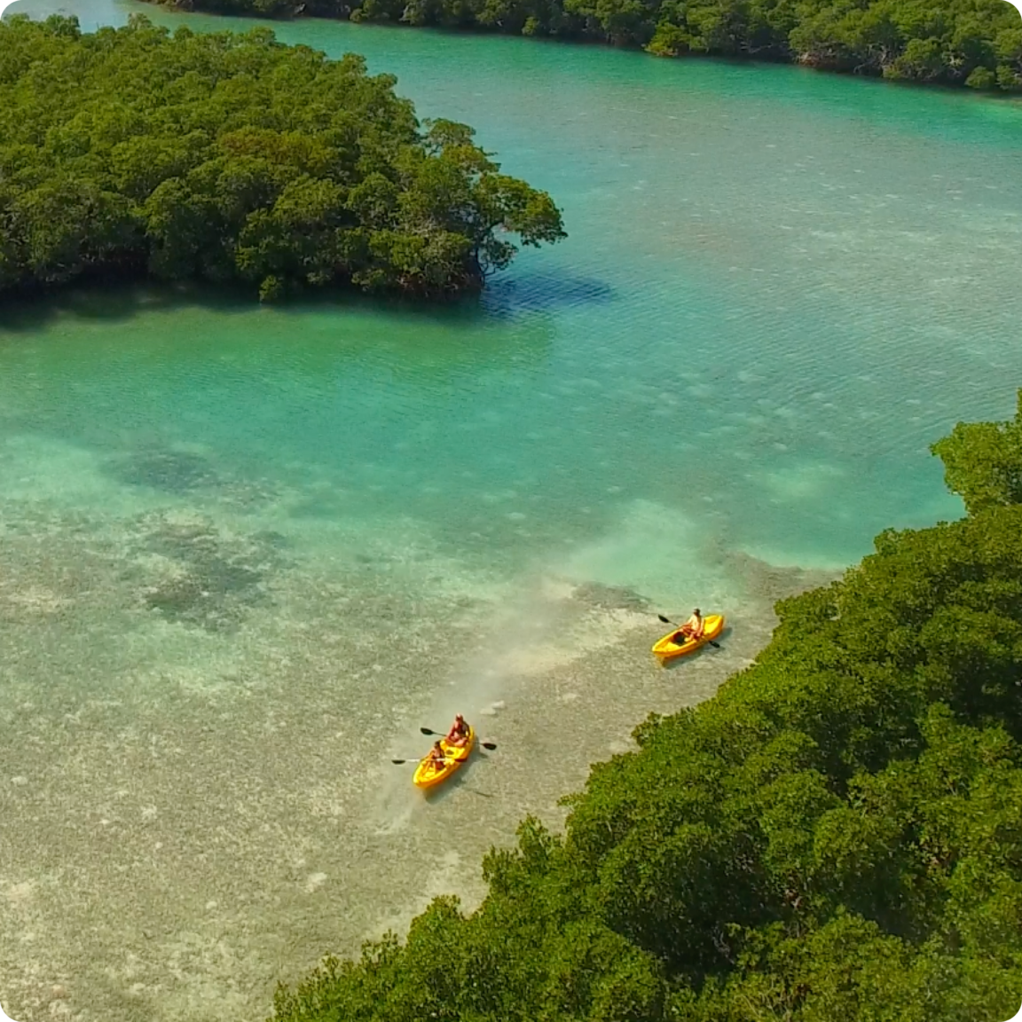 Key West Boat Tours: Authentic Small Group Key West Eco Tours